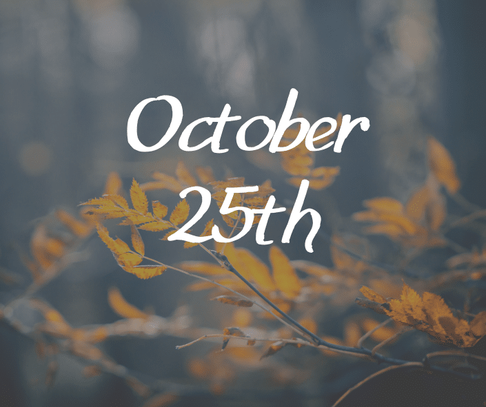 Celebrate These "Days" on October 25th - OKW News